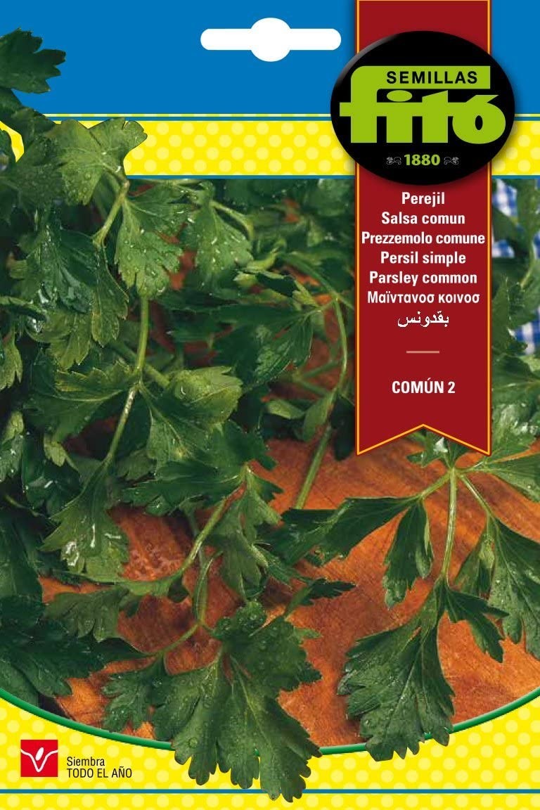 SOBRE SEMILLAS PEREJIL COMÚN