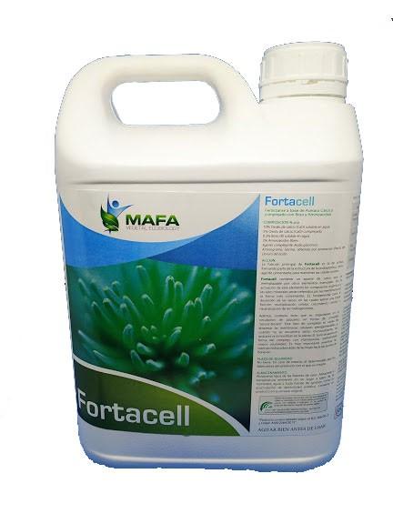 FORTACELL JERRICAN 5L (ECO)